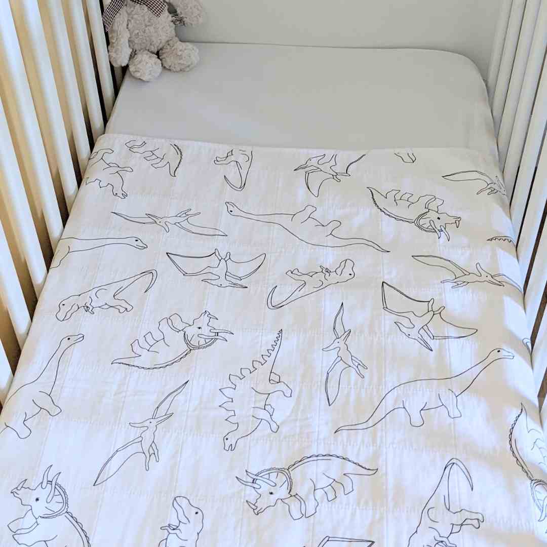 Brolly Sheets Single Bed Protectors For Bed Wetting: Nappy Lady