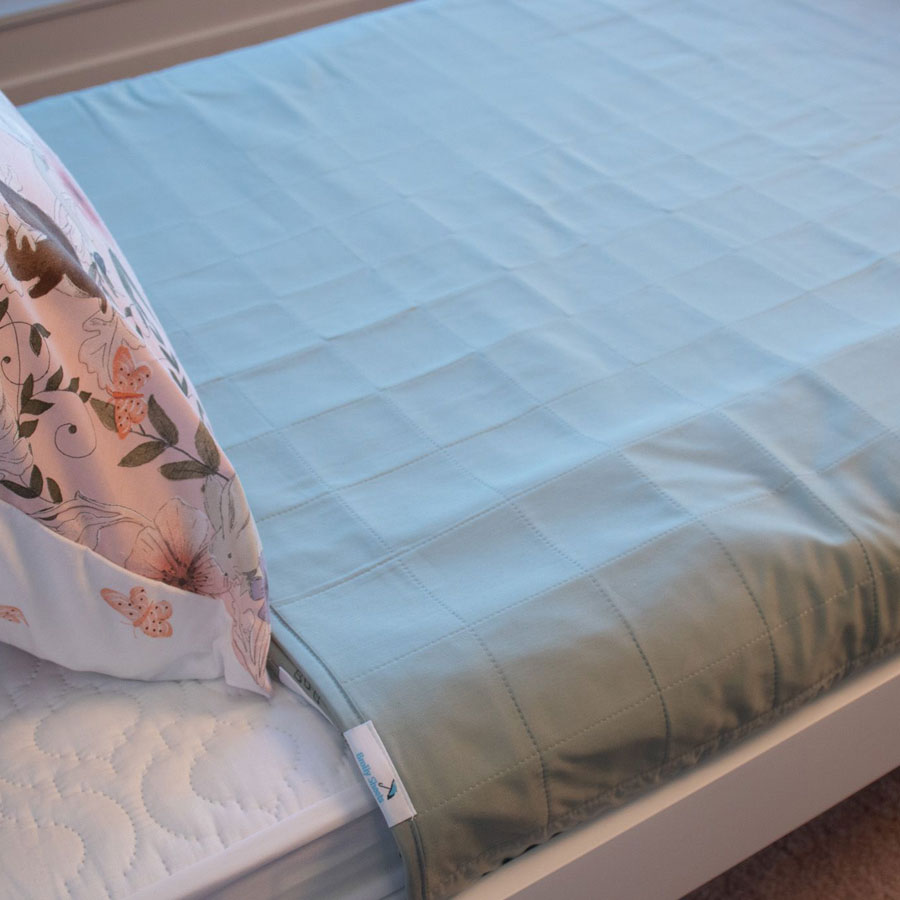 Brolly Sheets Single Bed Protectors For Bed Wetting: Nappy Lady